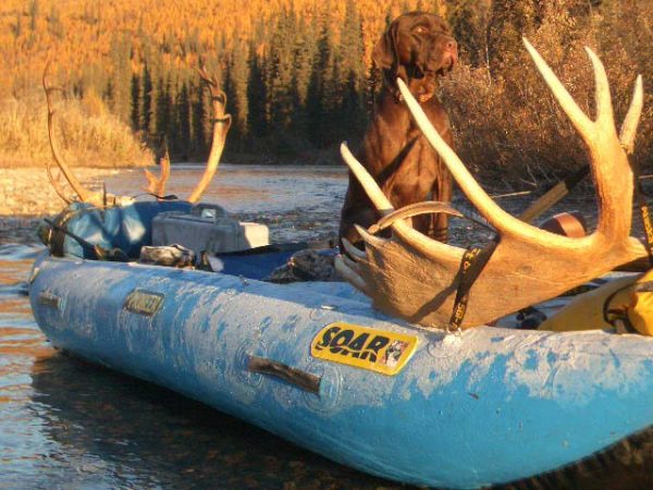 Pro Pioneer - SOAR Inflatables